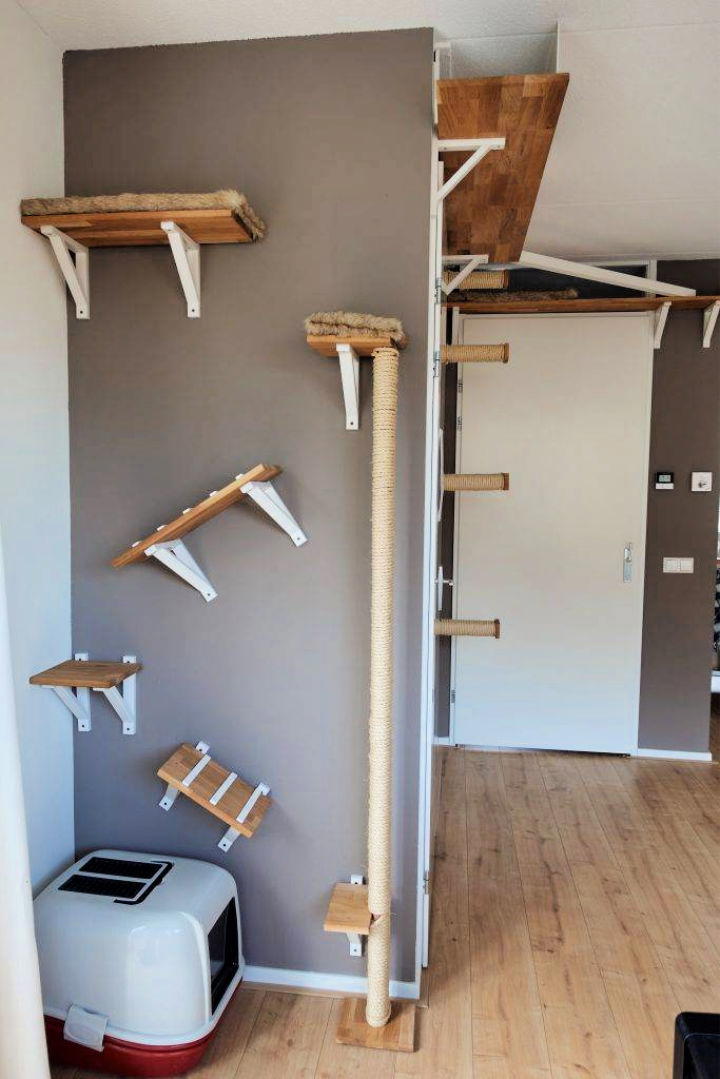 Diy Cat Shelves For Walls Psoriasisguru Diy Cat Shelves For Walls Psoriasisguru