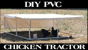 10 Free DIY PVC Chicken Tractor Plans (How to Build)