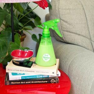 Homemade Febreze (15 Easy DIY Febreze Recipes)