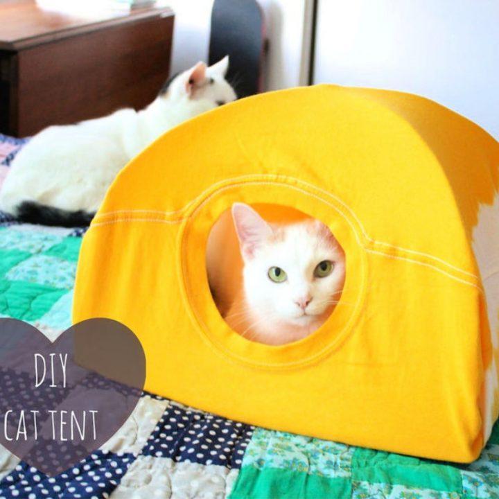 25 Homemade DIY Cat Toys You Can Make