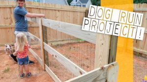 8 Cheap DIY Dog Run Ideas in Backyard
