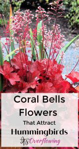 42 Hummingbird Flowers That Can Attract Them To Your Garden