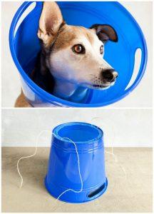 How to Make a DIY Dog Cone (7 Homemade Dog Cone Ideas)