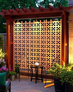 20 Trellis Ideas for Privacy in Your Outdoor Space