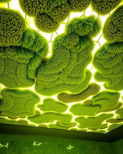 25 Green Ceiling Ideas for a Unique and Bold Statement