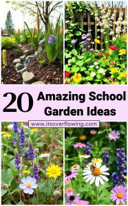 20 Inspiring School Garden Ideas to Engage and Educate