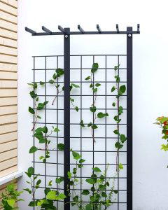 25 Trellis Ideas to Enhance Your Garden Aesthetics