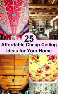 25 Affordable Cheap Ceiling Ideas for Your Home