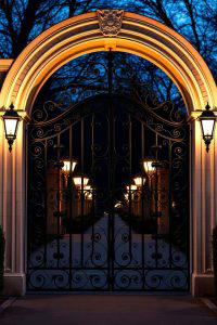 30 Garden Divider Ideas for Functional Outdoor Spaces