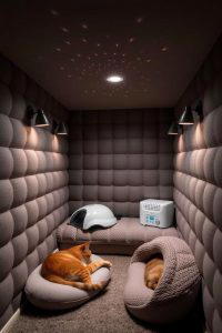 30 Cat Room Ideas: Create a Purr-fect Space for Your Feline