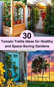 30 Tomato Trellis Ideas for Healthy & Space-Saving Gardens