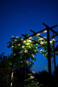 21 Garden Trellis Ideas to Support Climbing Plants Stylishly