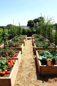 30 Tiered Garden Ideas for Sloped Yards and Visual Interest